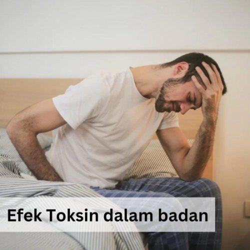 Apa itu toksin dalam badan dan cara buang toksin - Pembekal Garam Bukit ...